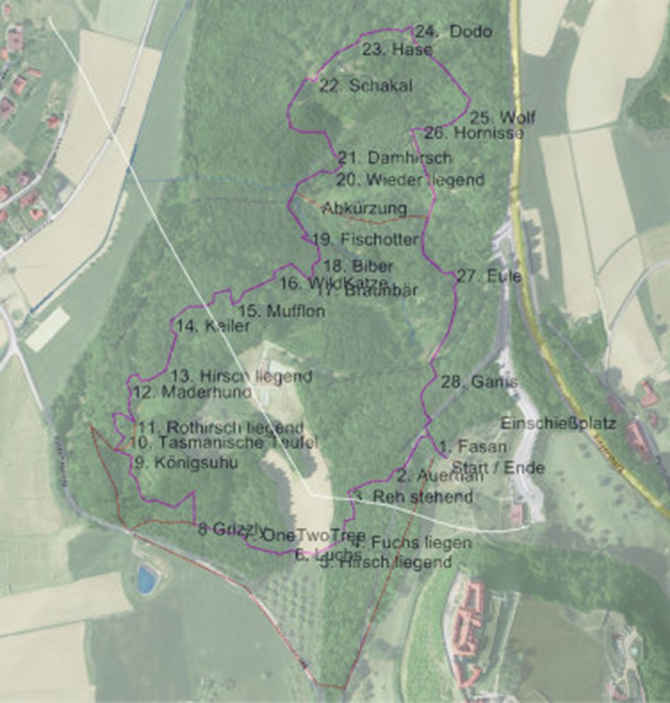 3D Bogenparcours an der Riegersburg
